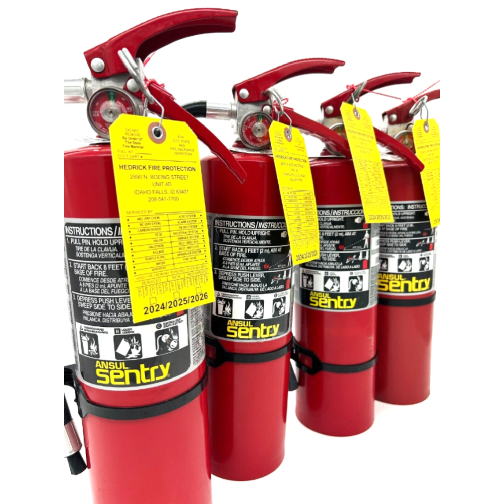 Is Investing in Heavy Duty Extinguishers Worth It? – Pro Fire and Safety